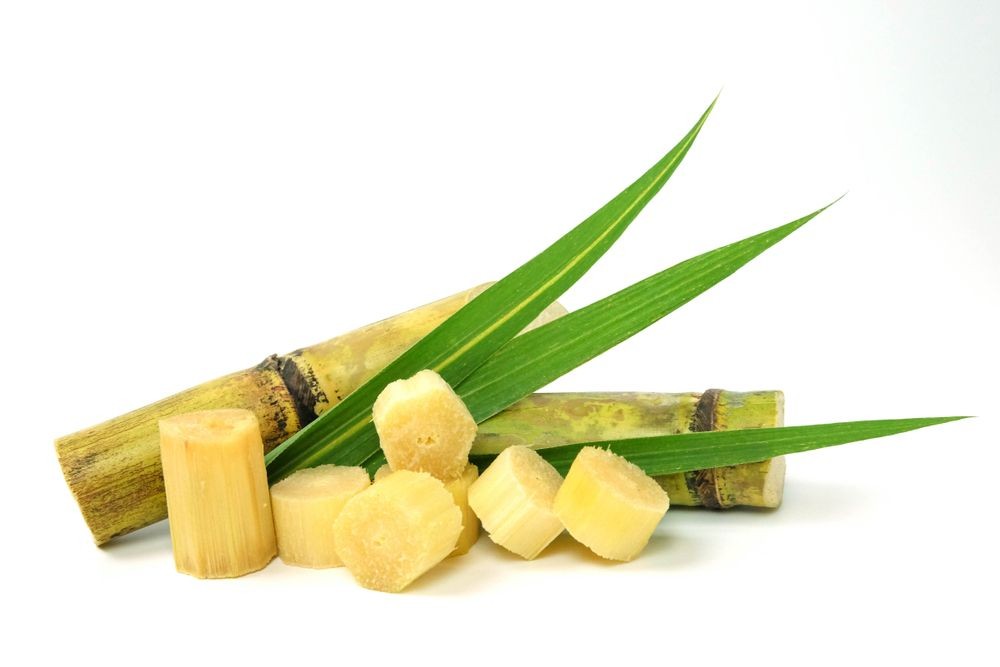 AMS Compostable | Eco-Friendly Food Packaging Manufacturer