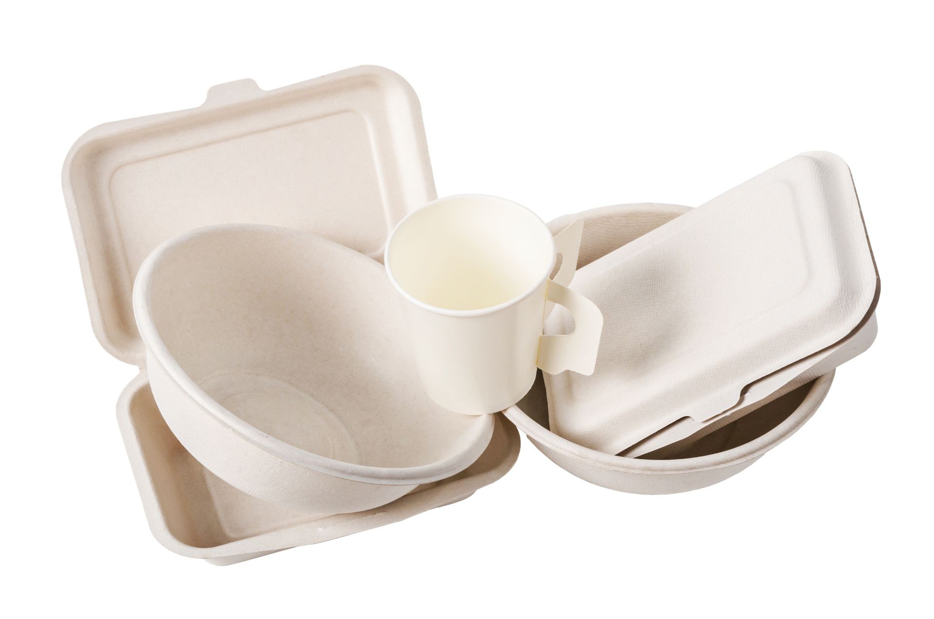 AMS Compostable | Eco-Friendly Food Packaging Manufacturer
