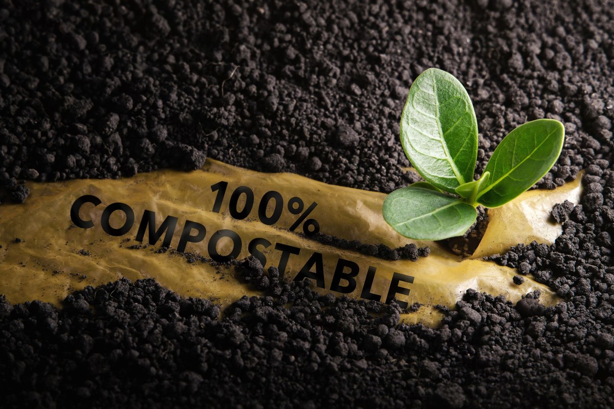 AMS Compostable | Compostable Foodservice Packaging Manufacturer